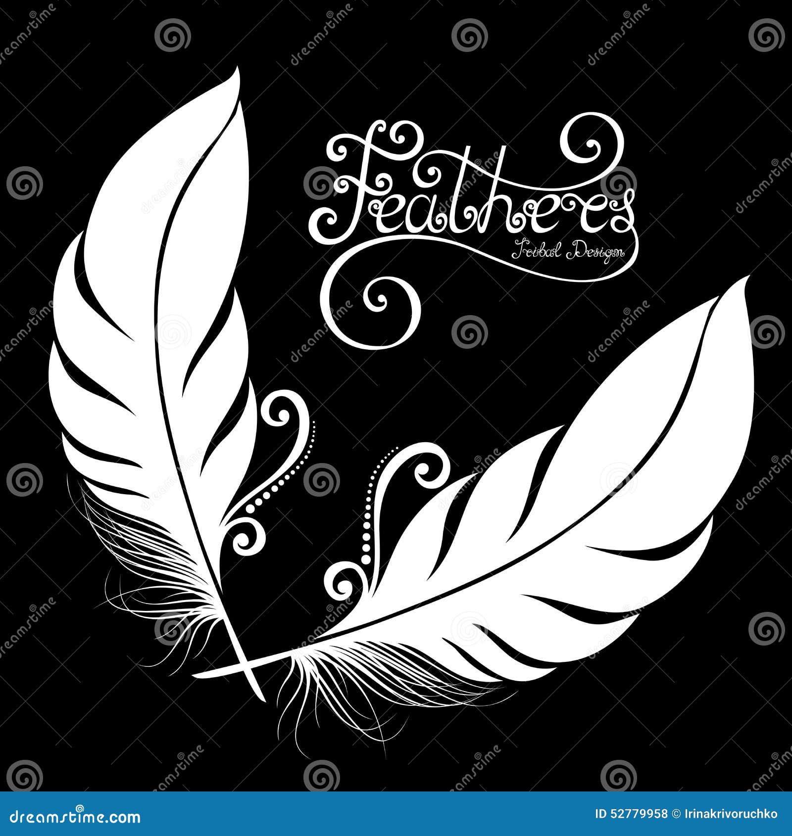 Pena Decorativa Sem Par Do Vetor Ilustração do Vetor - Ilustração de ...