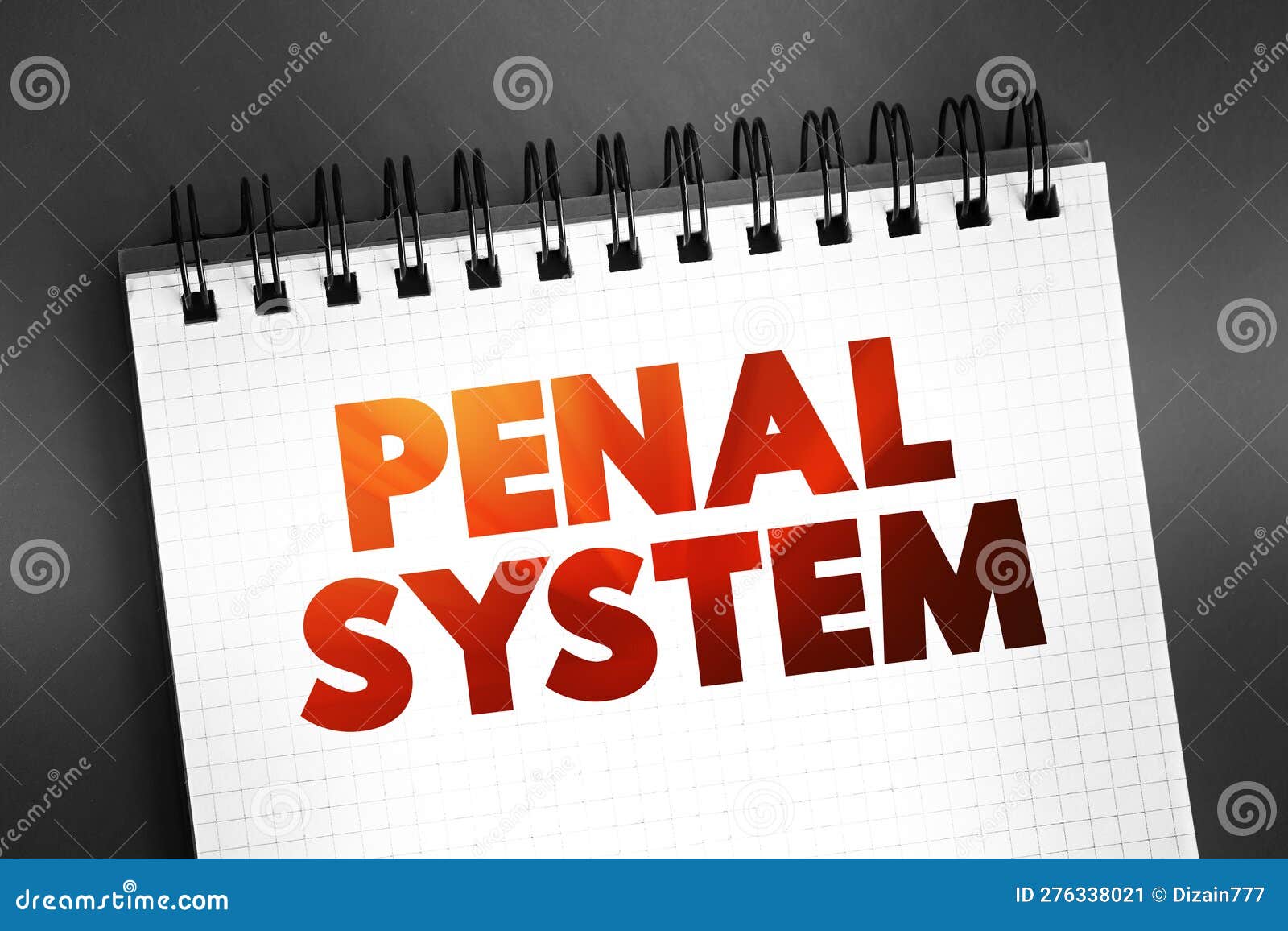 Penal System - Network of Agencies that Administer a Jurisdiction S ...