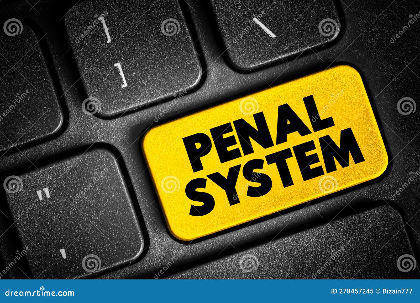 Penal System - Network of Agencies that Administer a Jurisdiction S ...