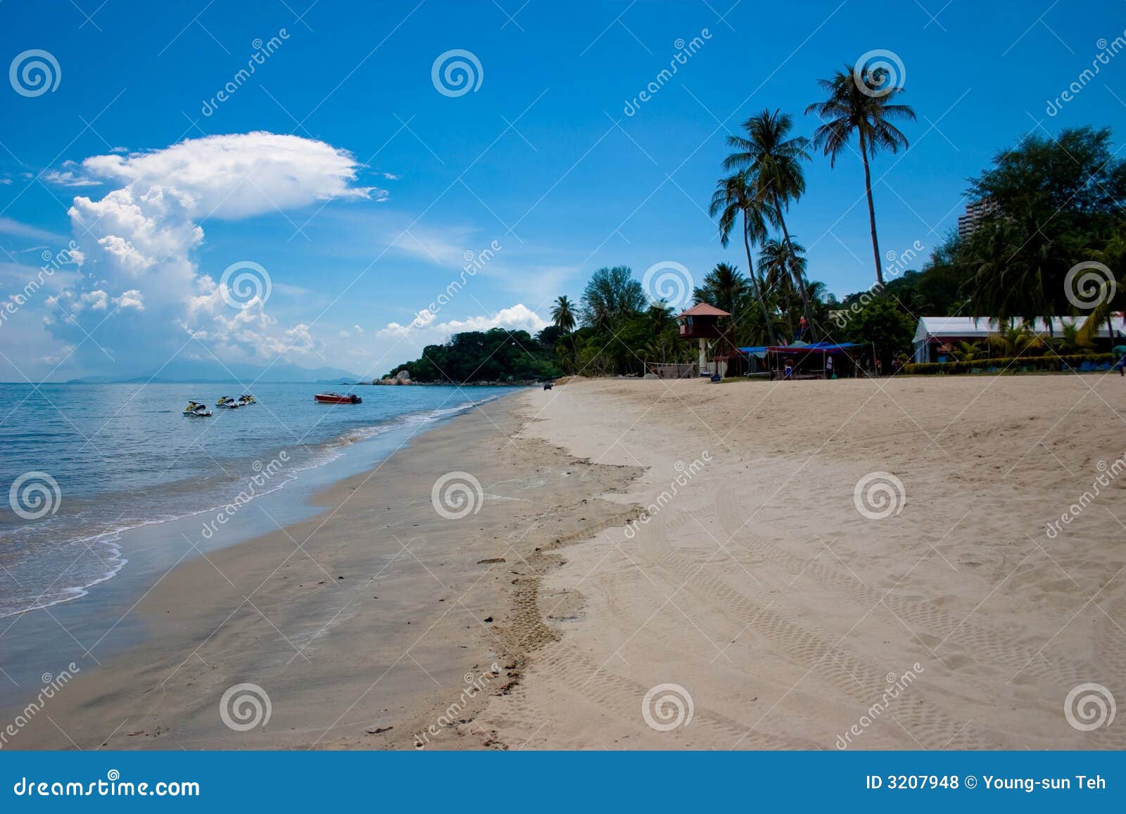 Penang Sunny beach stock photo. Image of beach, blue, coconut - 3207948