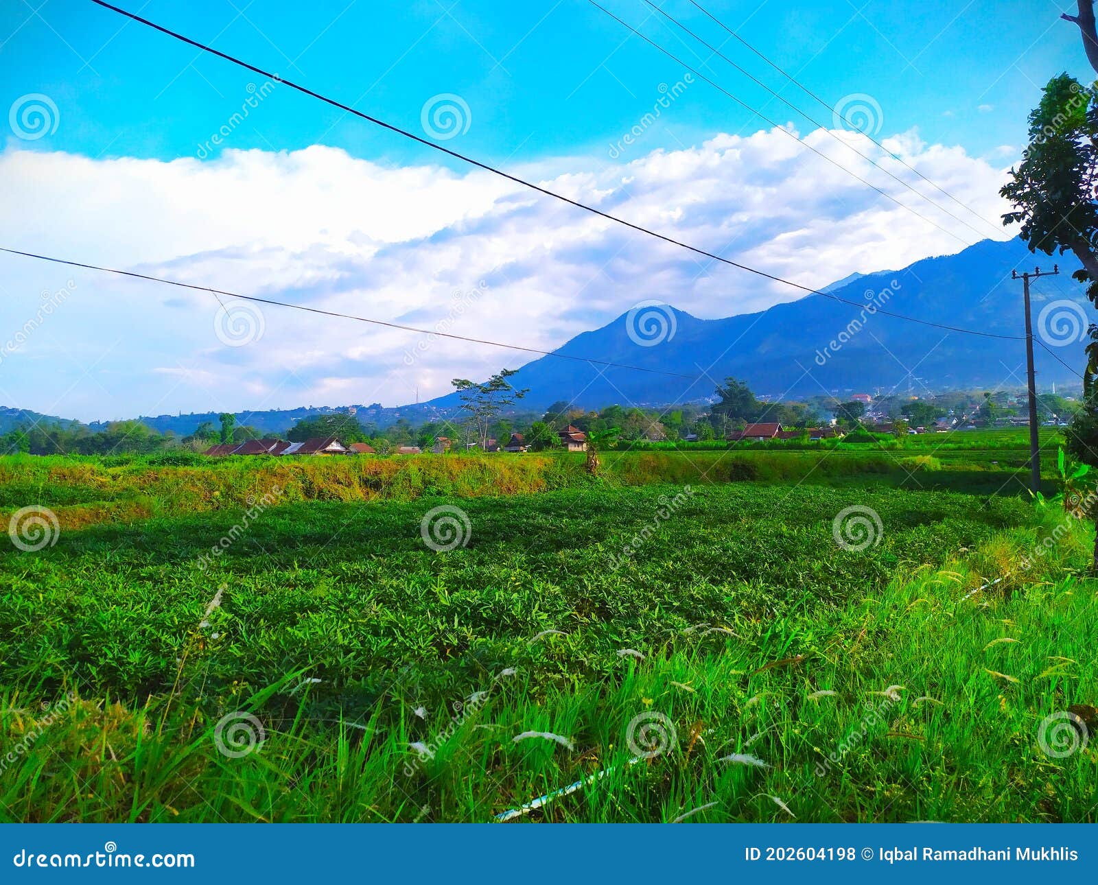 Penanggungan Mountain in East Java Stock Photo - Image of java ...