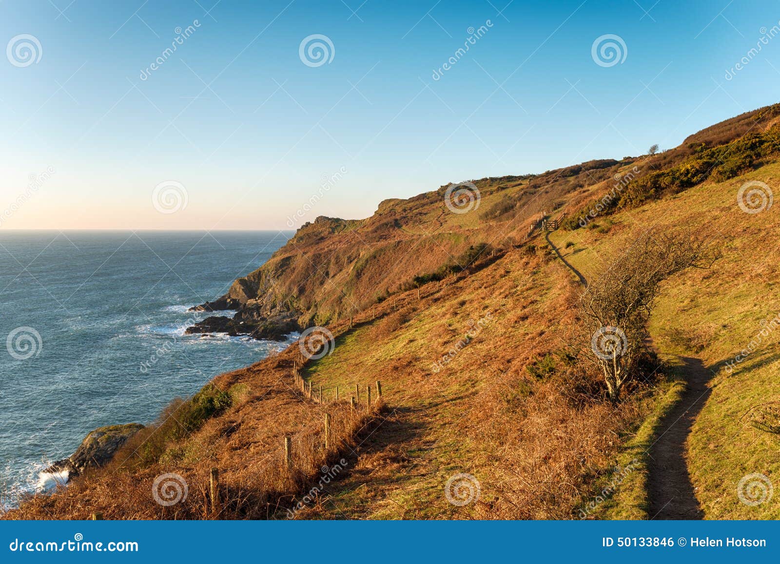 Pencarrow Head stock photo. Image of britain, fence, coastal - 50133846