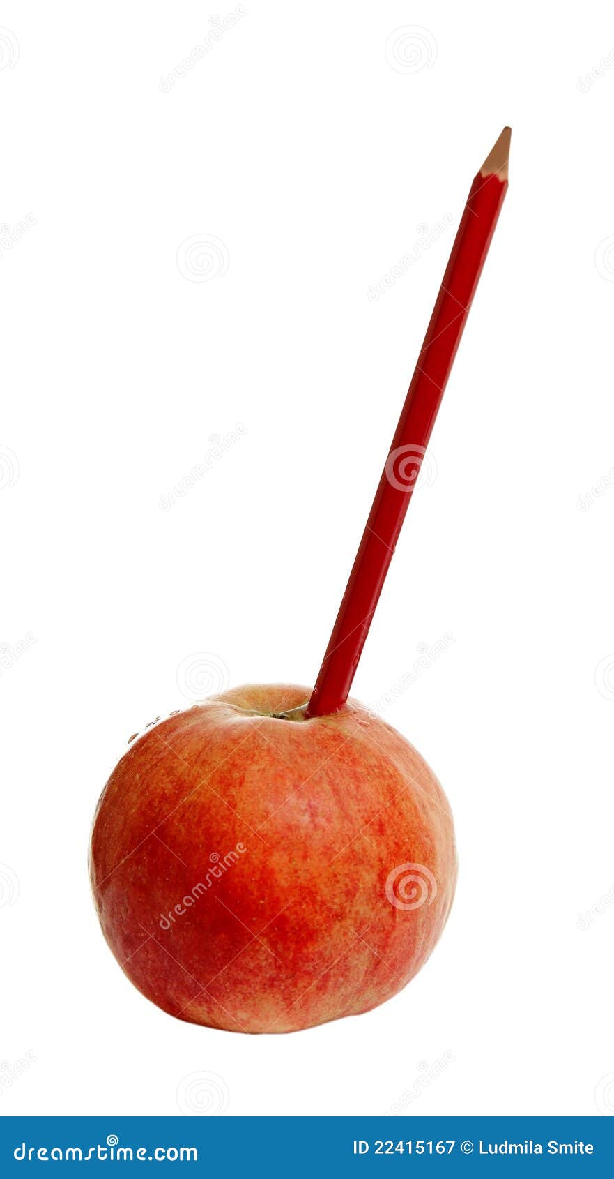 Pencil and apple. stock image. Image of pencil, school - 22415167