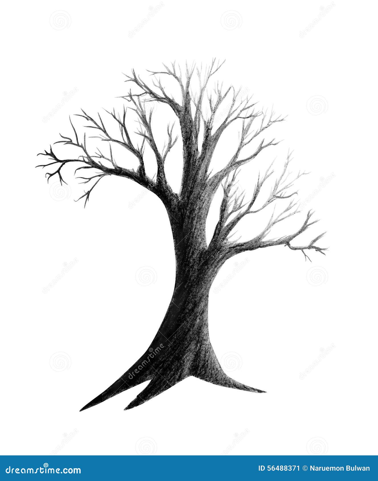 Pencil drawing dry tree stock image. Image of line, detail - 56488371 Pencil drawing dry tree stock image. Image of line, detail - 56488371