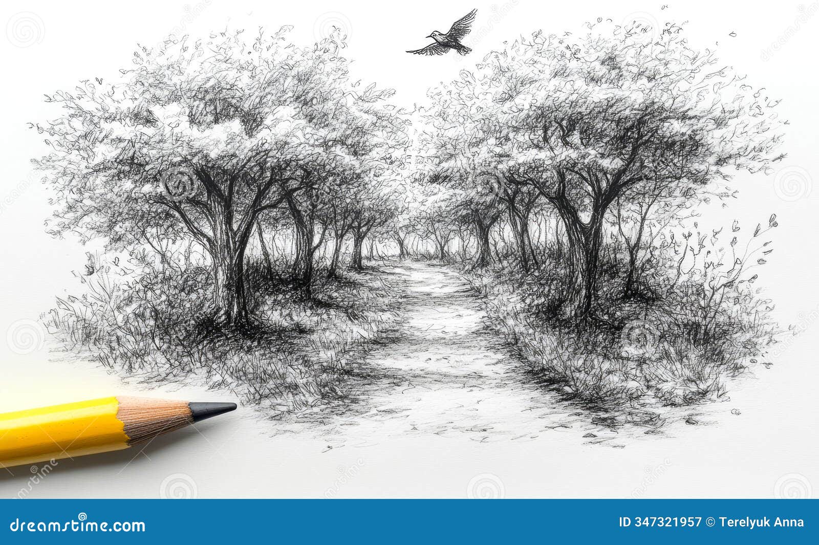 A Pencil Drawing of a Forest Path with Trees and a Bird Flying in the ...