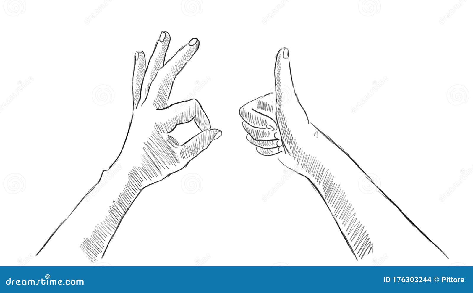 Pencil Drawing Of The Hands Stock Photo | CartoonDealer.com #176303244