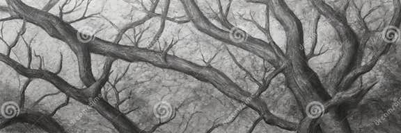 Pencil Drawing, Tree and Intertwining of Branches. Volumetric Pencil ...
