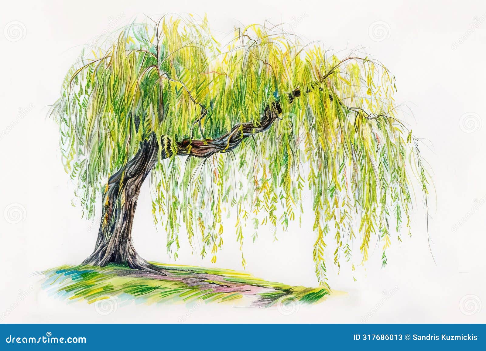 Pencil Drawing of Willow Tree. Generative AI. Stock Illustration ...