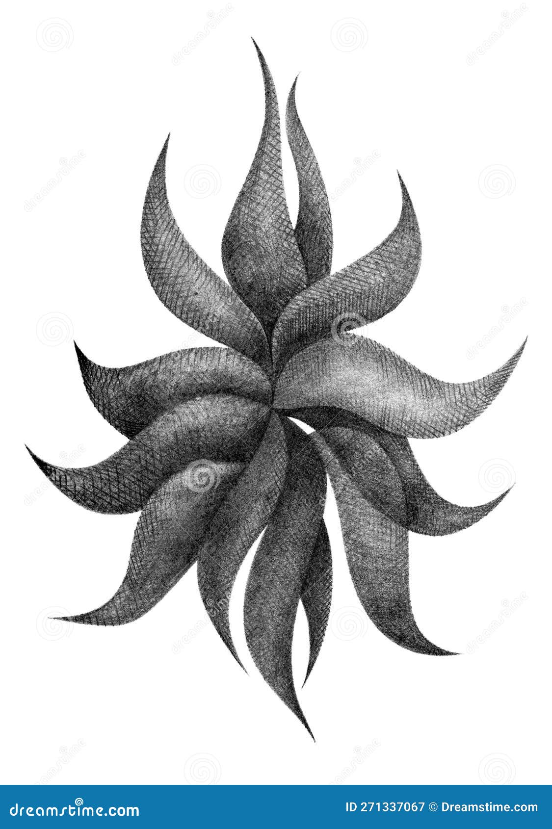 Set Of Magic Plants And Symbols. Moon, Flowers, Eye, Crystals, Herbs ...