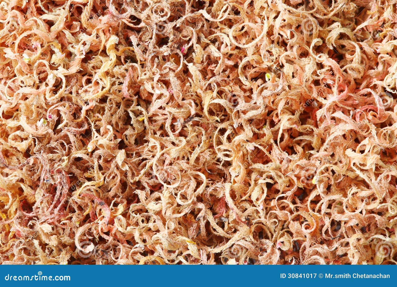 Pencil dust stock image. Image of graphite, natural, handle - 30841017