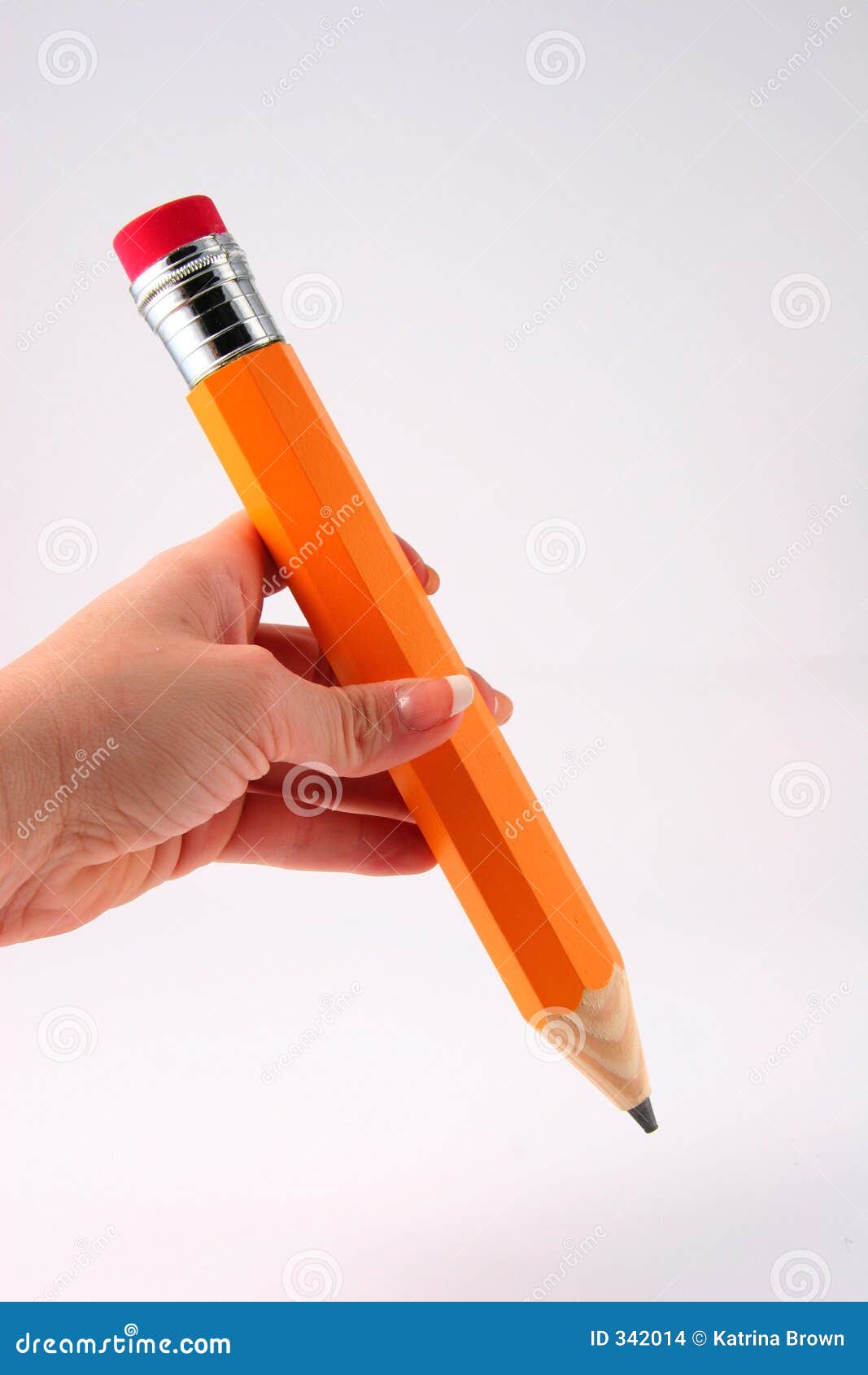 Pencil in Hand stock photo. Image of teach, paper, business - 342014
