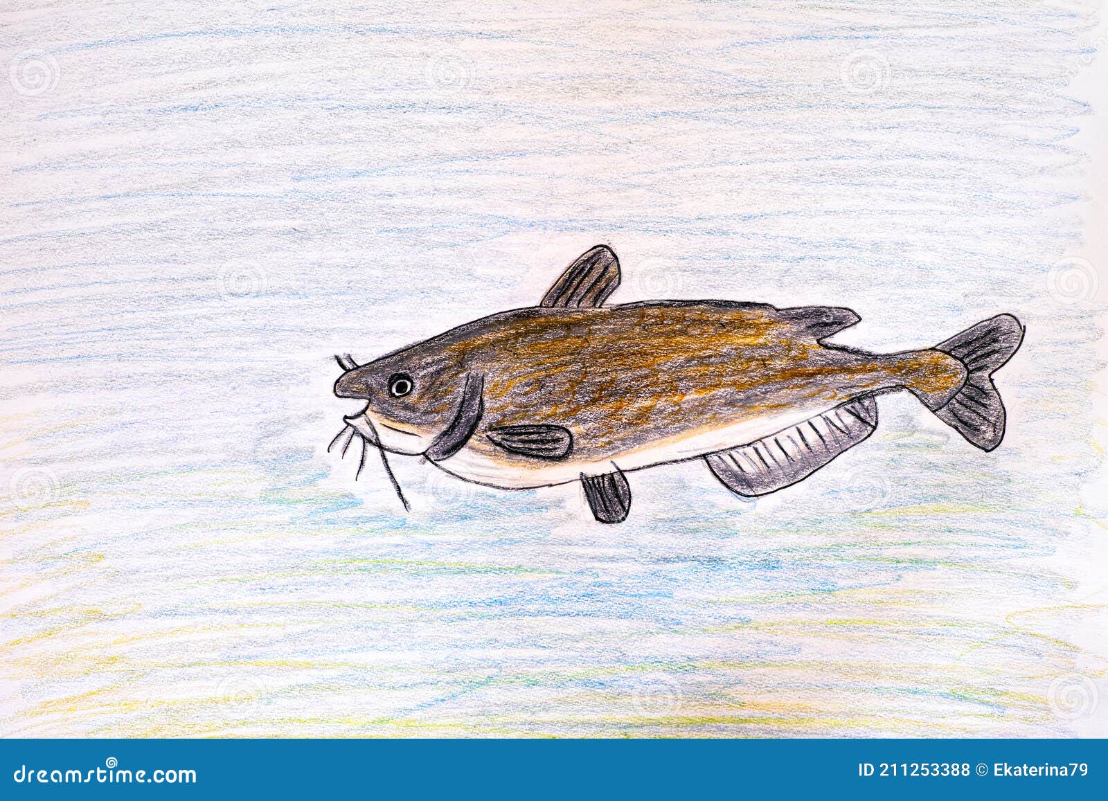 Pencil Hand Drawing. Catfish Stock Photo - Image of imagination ...