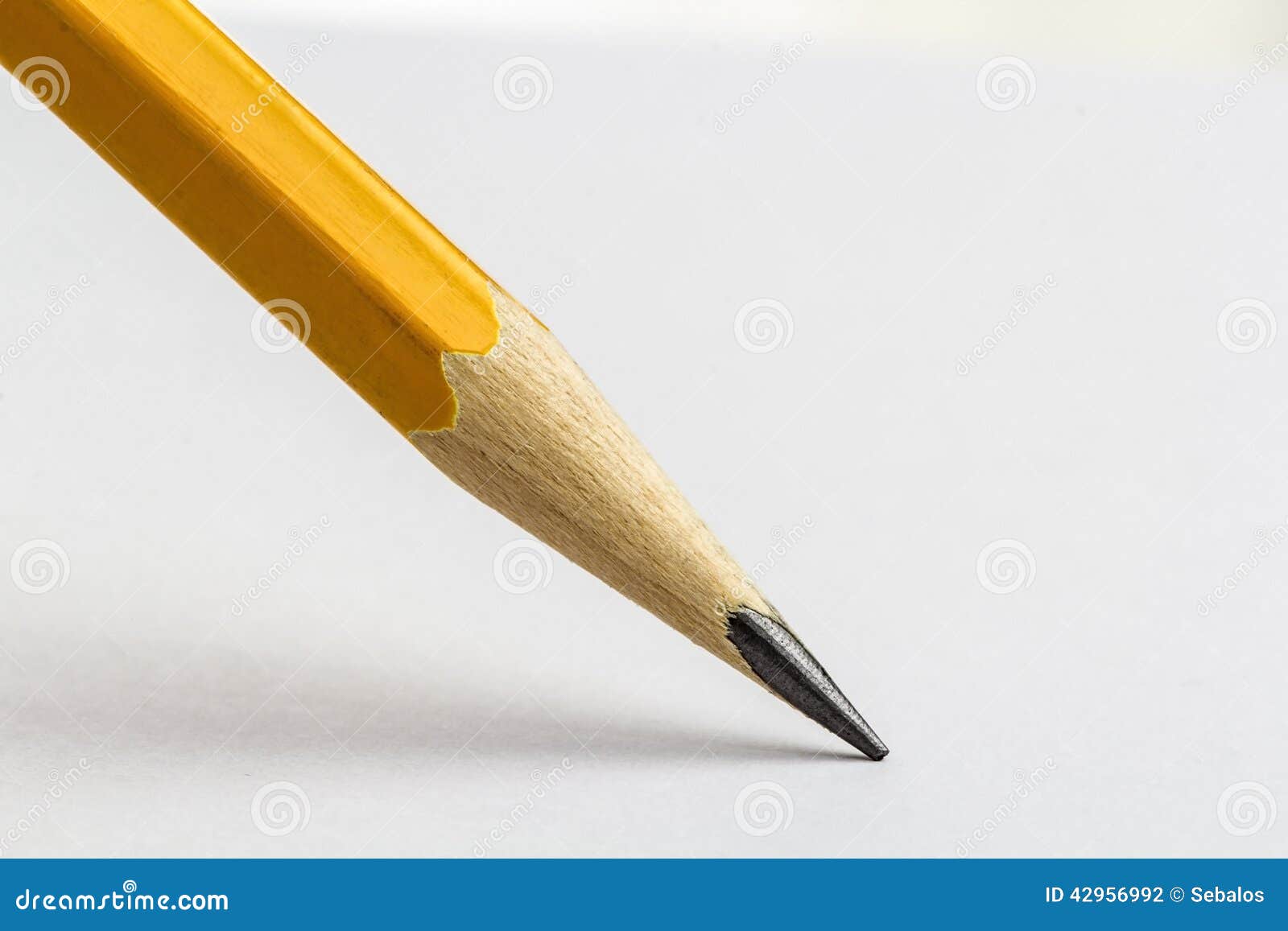Pencil over paper stock photo. Image of sharpened, school - 42956992