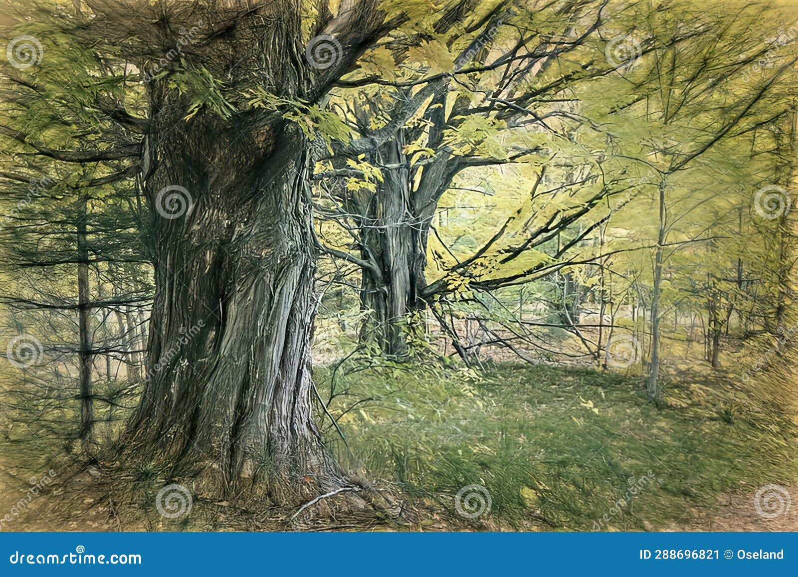 Pencil and Pastel Maple Trees. Digital Art Stock Illustration ...