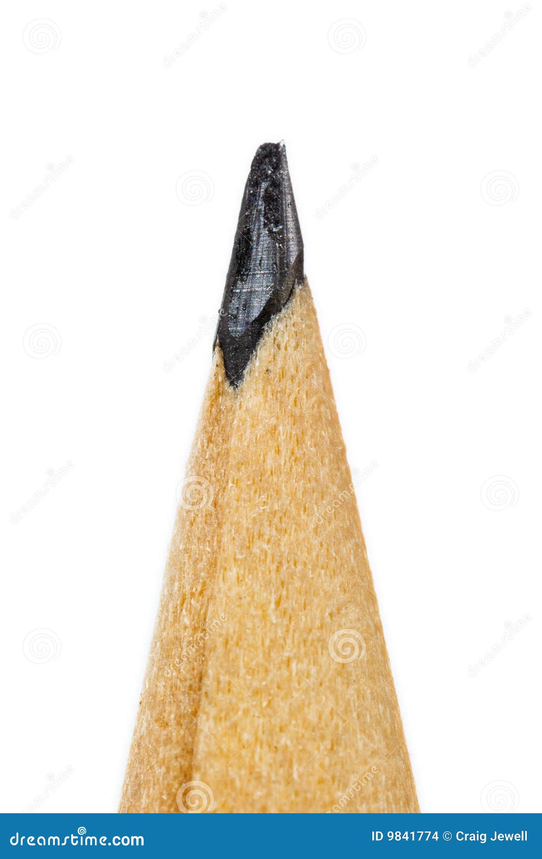 Pencil Point stock photo. Image of wooden, point, white - 9841774