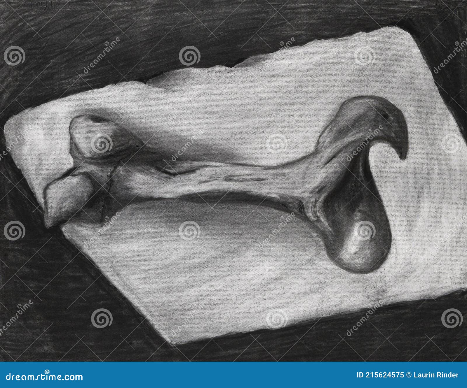 Pencil Sketch of a Animal Bone Stock Image - Image of realistic, sketch ...