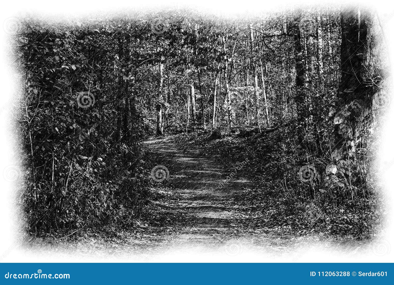 A Pencil Sketch of a Wooded Path. Stock Photo - Image of sketch, nature ...