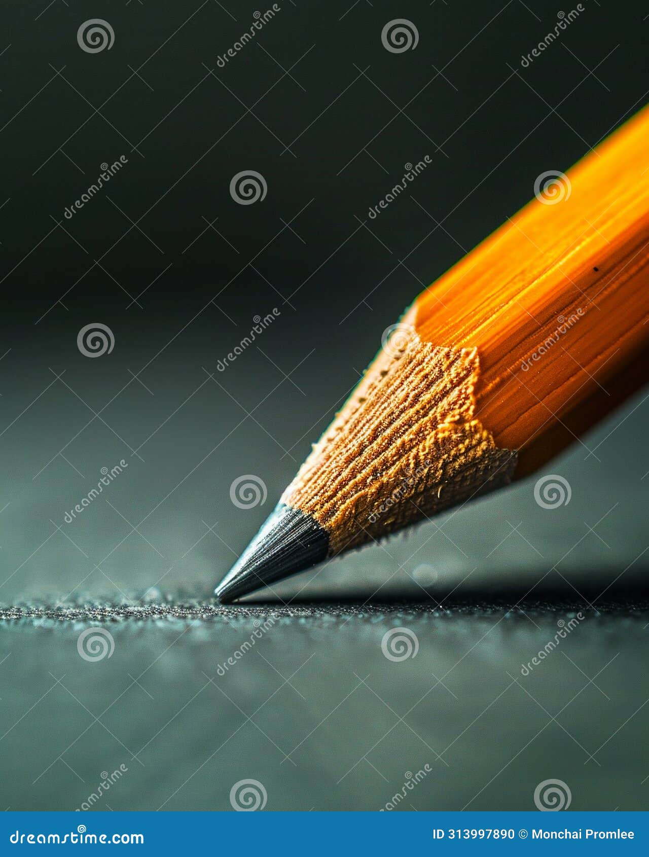 A Pencil in a Skilled Hand Sketches Sharp Outlines, Fills Them with ...