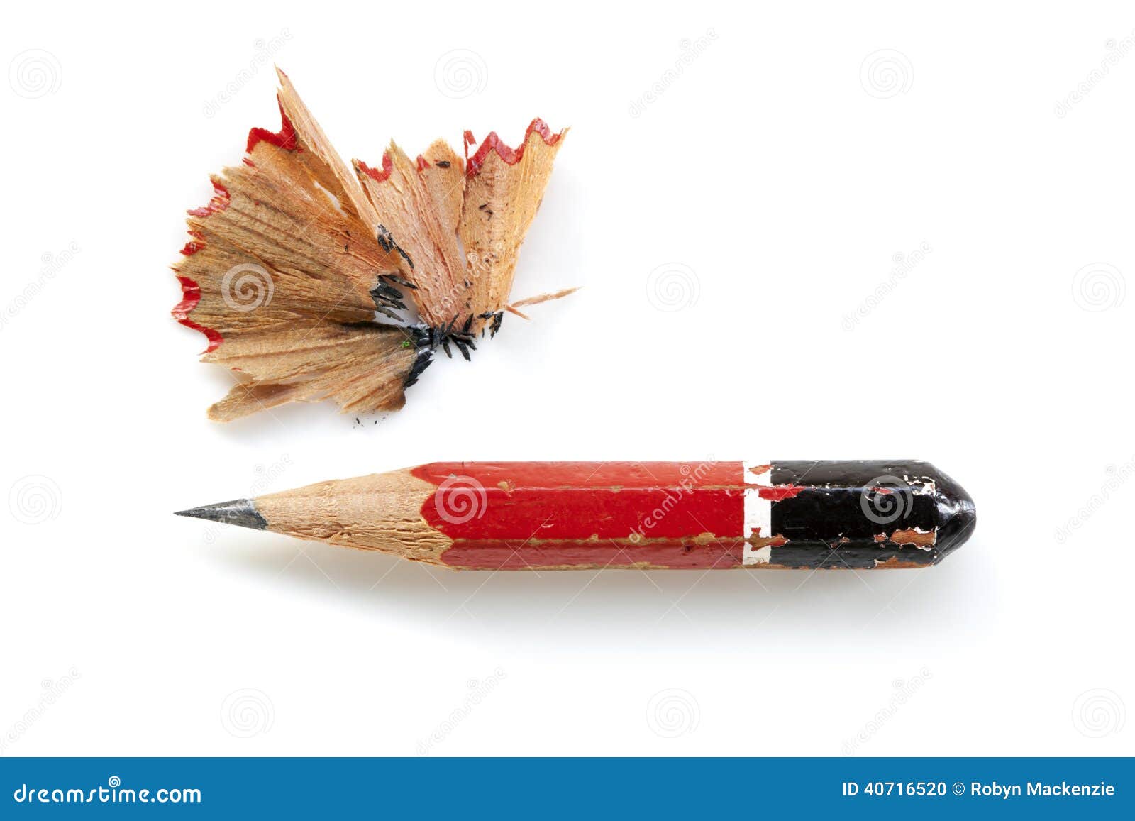 Isolated Stub Log With Wooden Texture Stock Photography | CartoonDealer ...