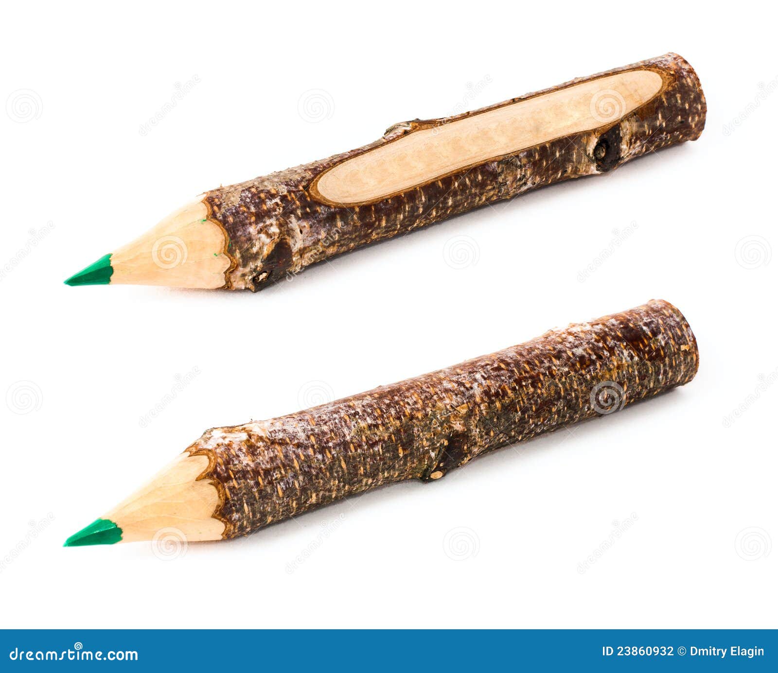 Pencil Stylized Tree Branch Stock Photo - Image of detail, full: 23860932