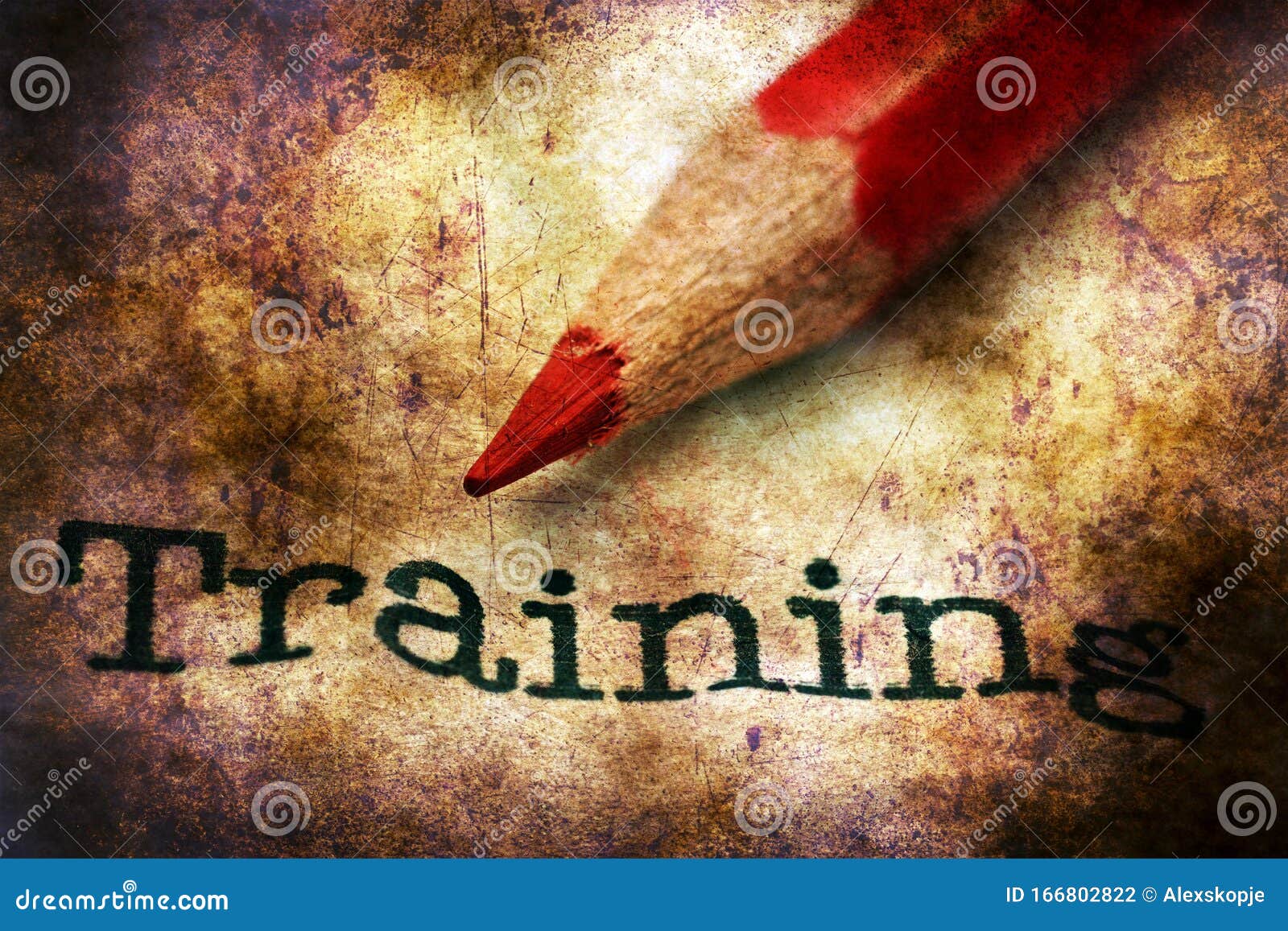 Pencil on training text stock photo. Image of concept - 166802822