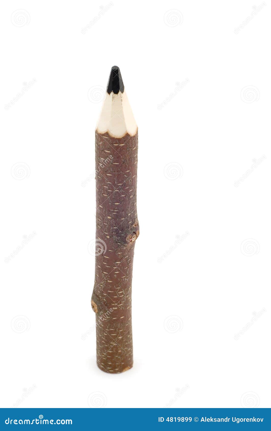 Pencil tree stock image. Image of pencil, gift, accessories - 4819899