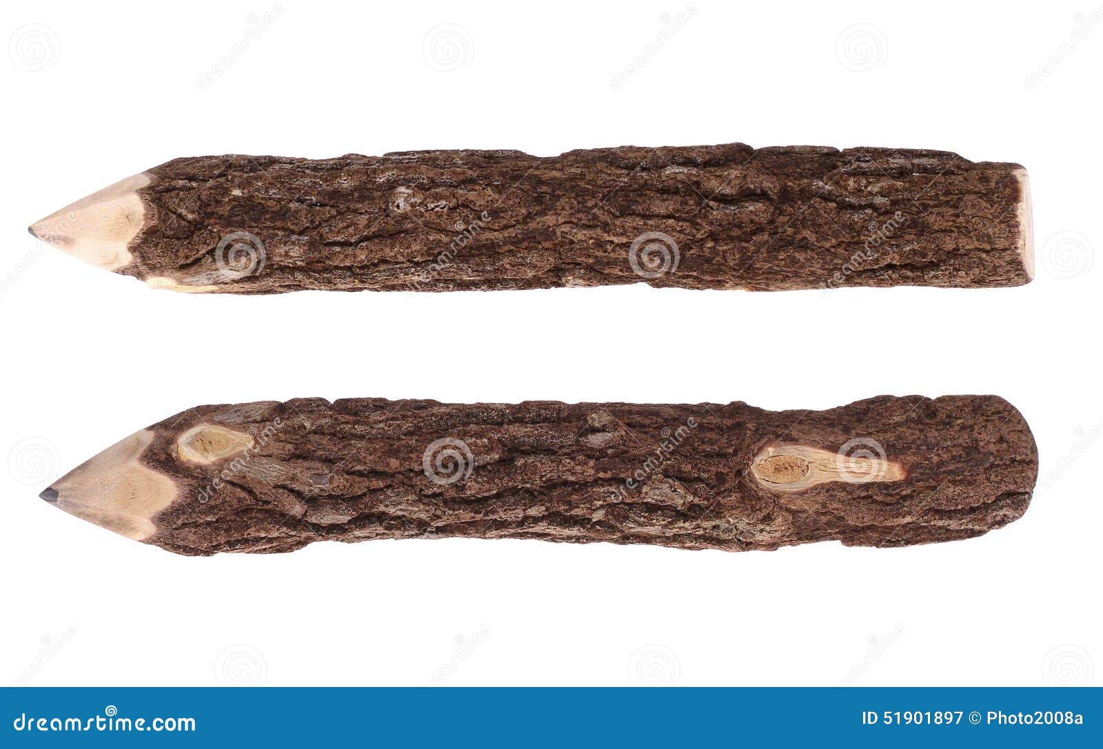 Wood And Bark Cells Of A Sudanese Frankincense Tree, Boswellia ...