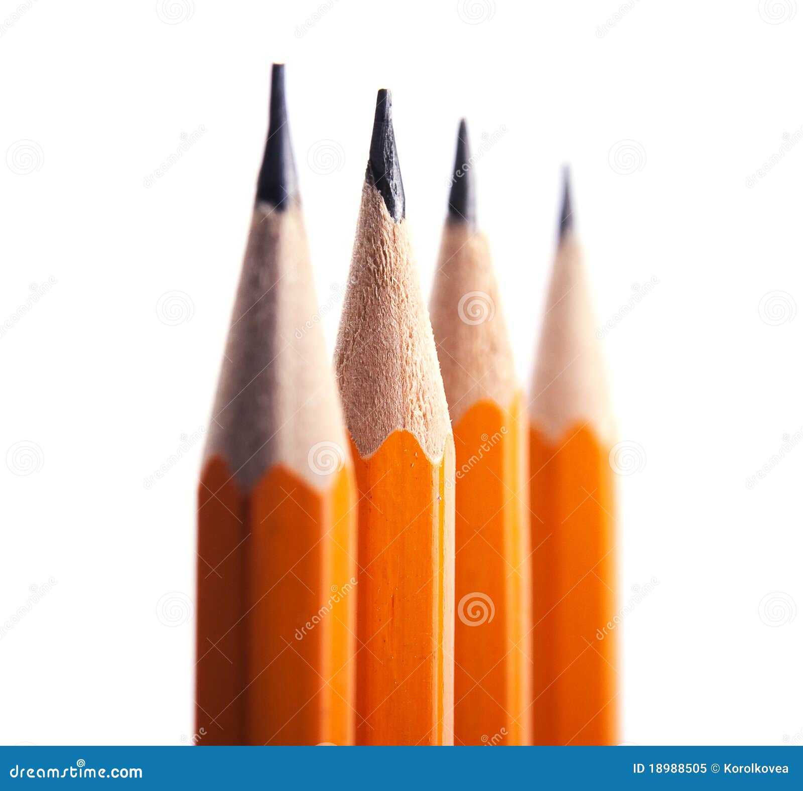 Pencils stock image. Image of education, correct, group - 18988505