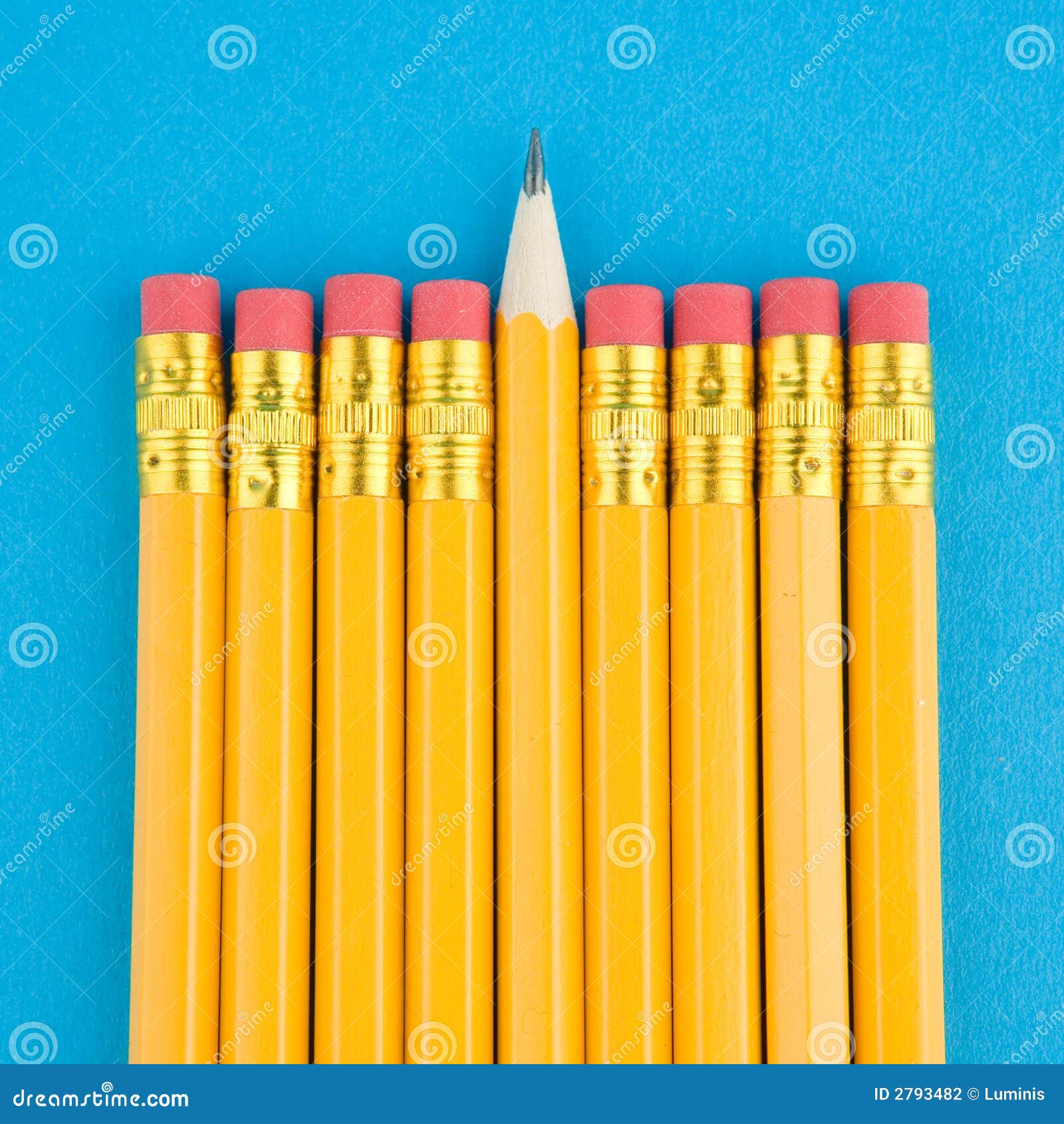 Pencils stock photo. Image of select, writing, blue, desktop - 2793482