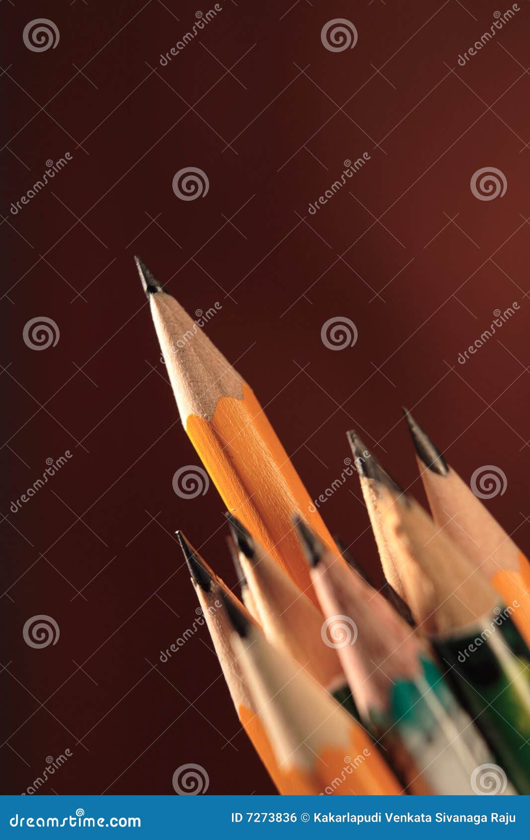 Pencils stock photo. Image of royalty, powerful, study - 7273836