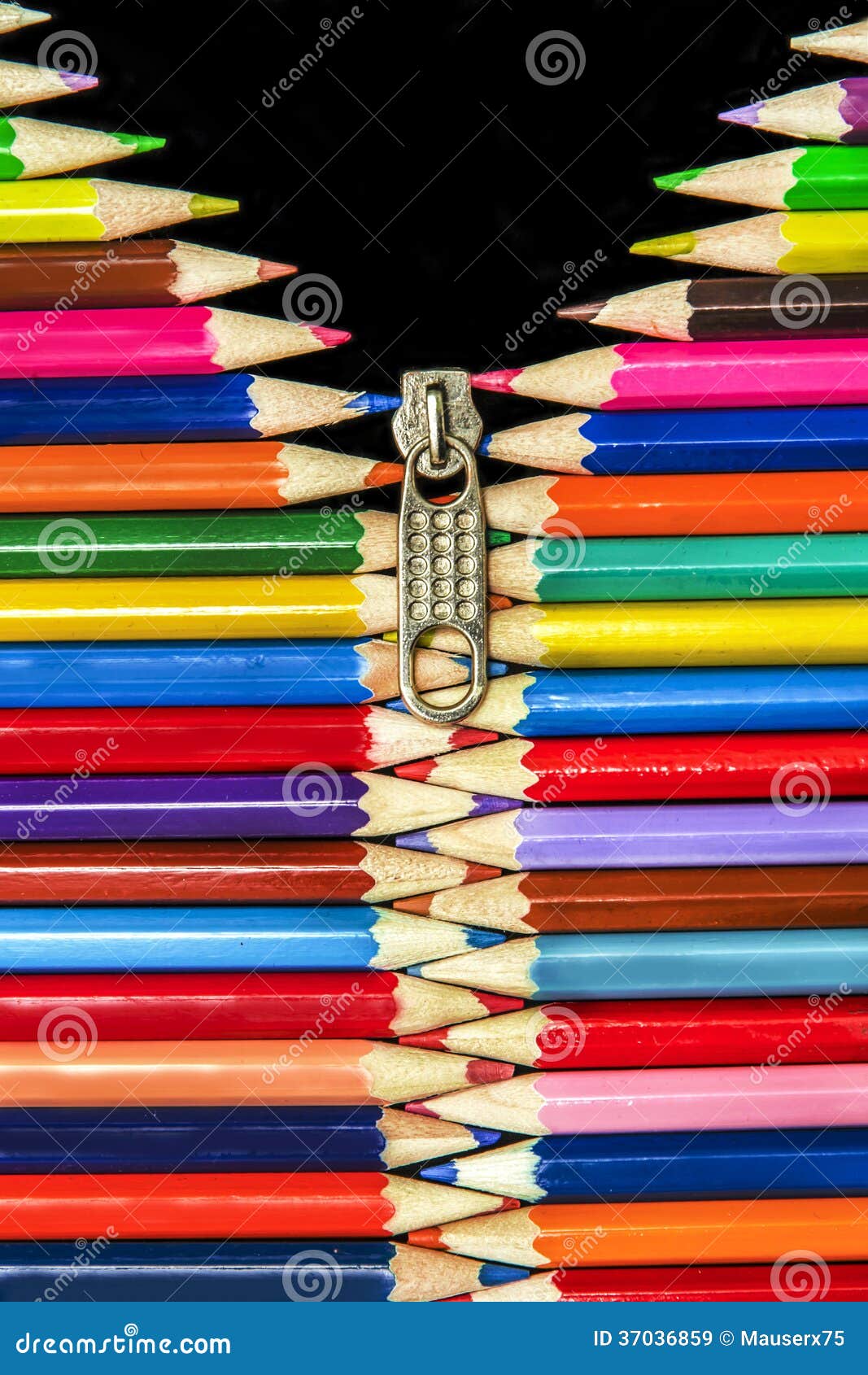 Pencils Zip Vertical stock image. Image of life, cool - 37036859