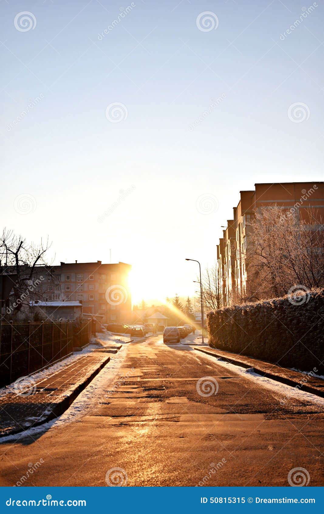 Pendant le matin image stock. Image du matin, arbres - 50815315