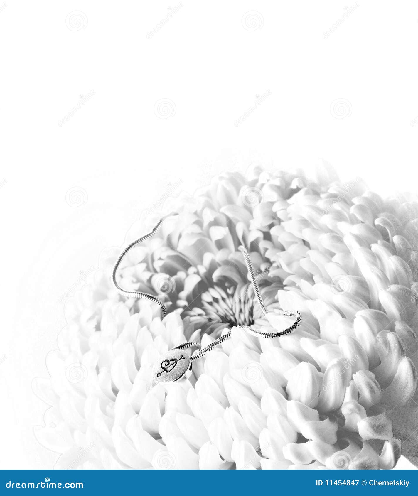 Pendant on mums head stock image. Image of accessory - 11454847