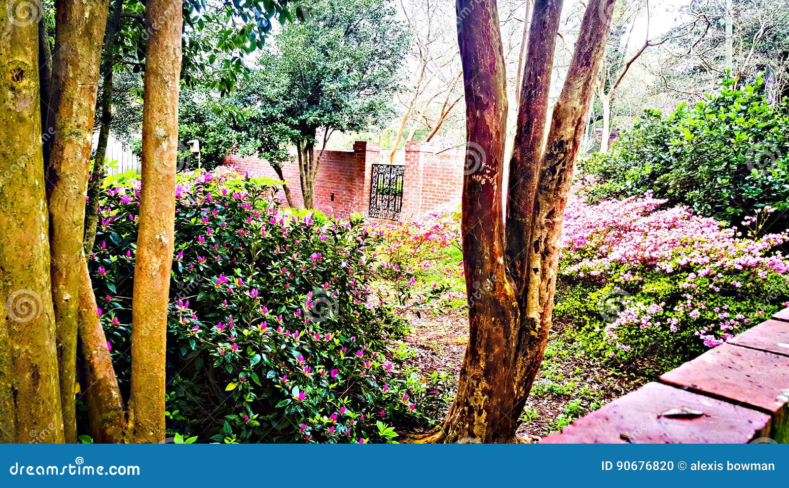 Pendleton king stock photo. Image of pendleton, spring - 90676820