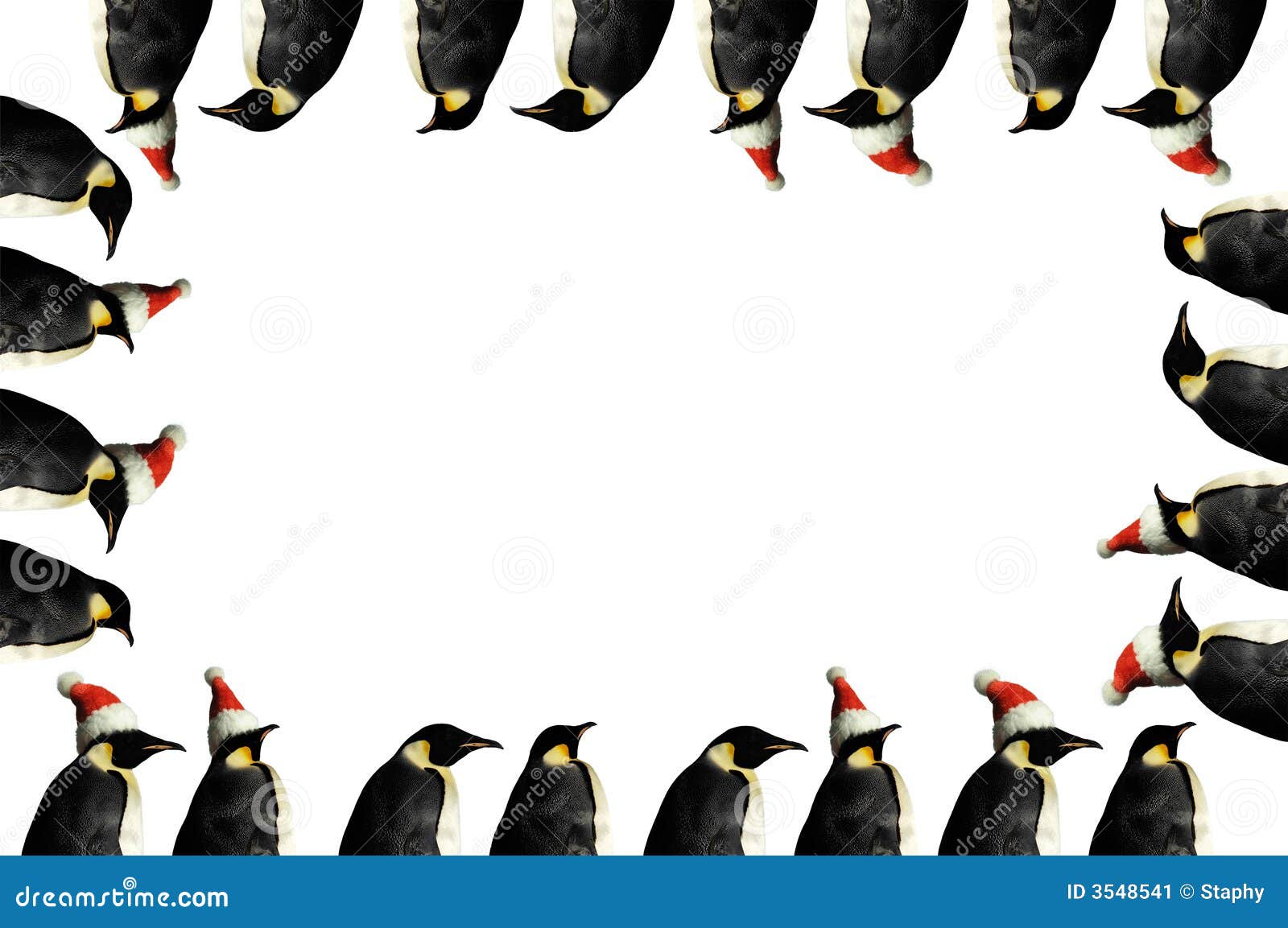 Penguin christmas frame stock illustration. Illustration of aves - 3548541