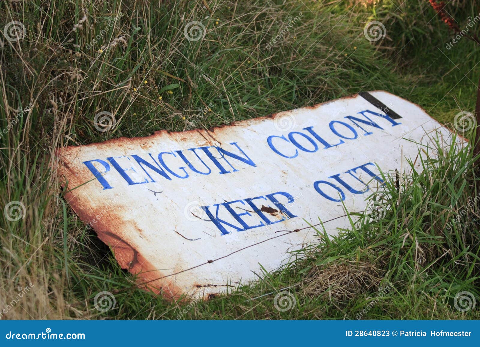 Penguin colony sign stock image. Image of penguin, birds - 28640823