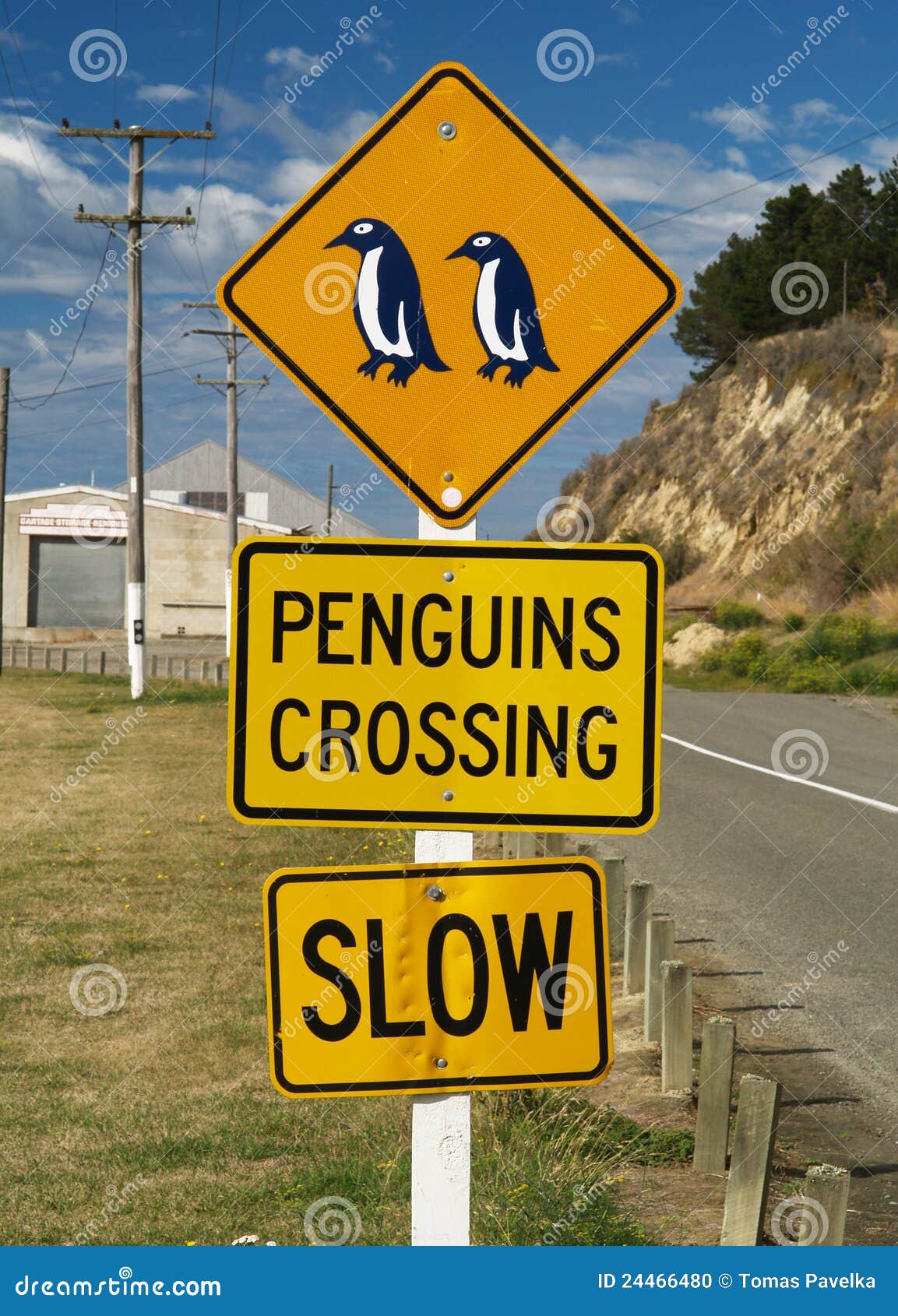 Penguin crossing sign stock photo. Image of nature, slow - 24466480