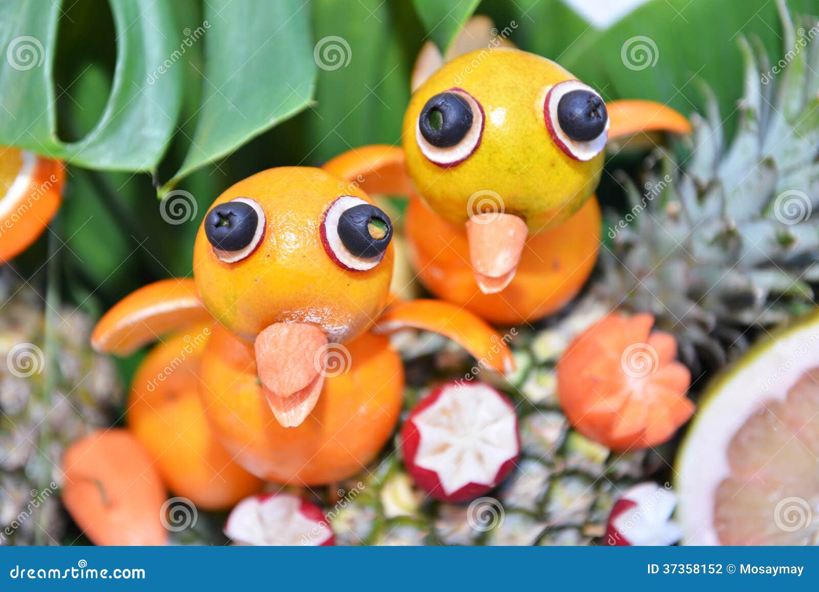 Penguin Oranges, Art of Fruits Stock Photo - Image of penguin, cute ...