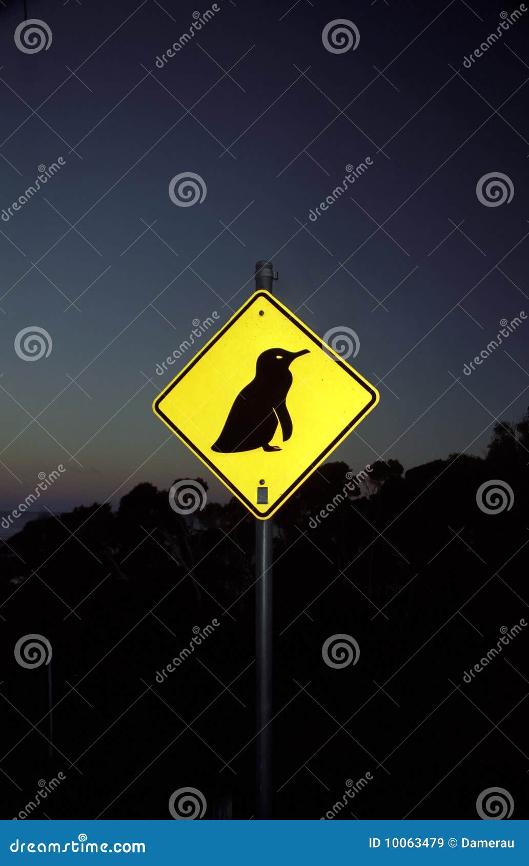 Penguin Sign stock image. Image of dark, dusk, yellow - 10063479