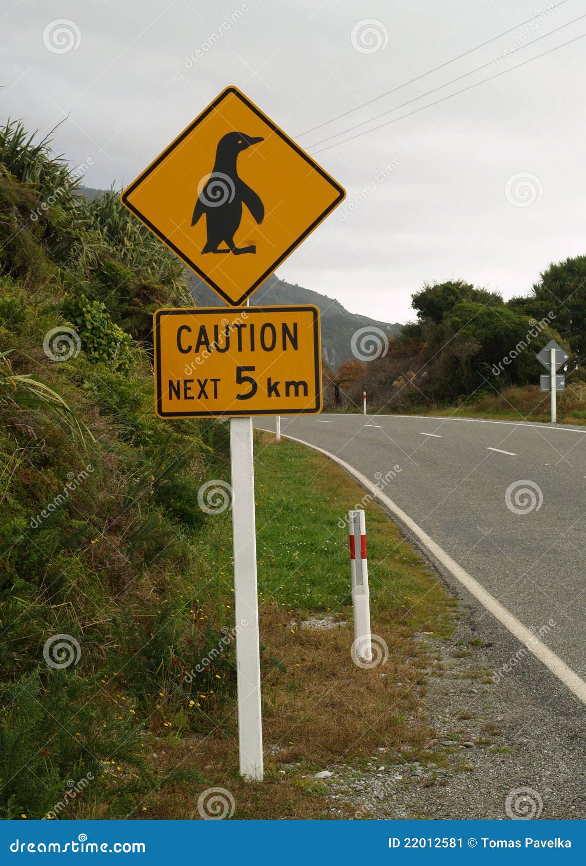 Penguin sign stock image. Image of careful, five, pole - 22012581