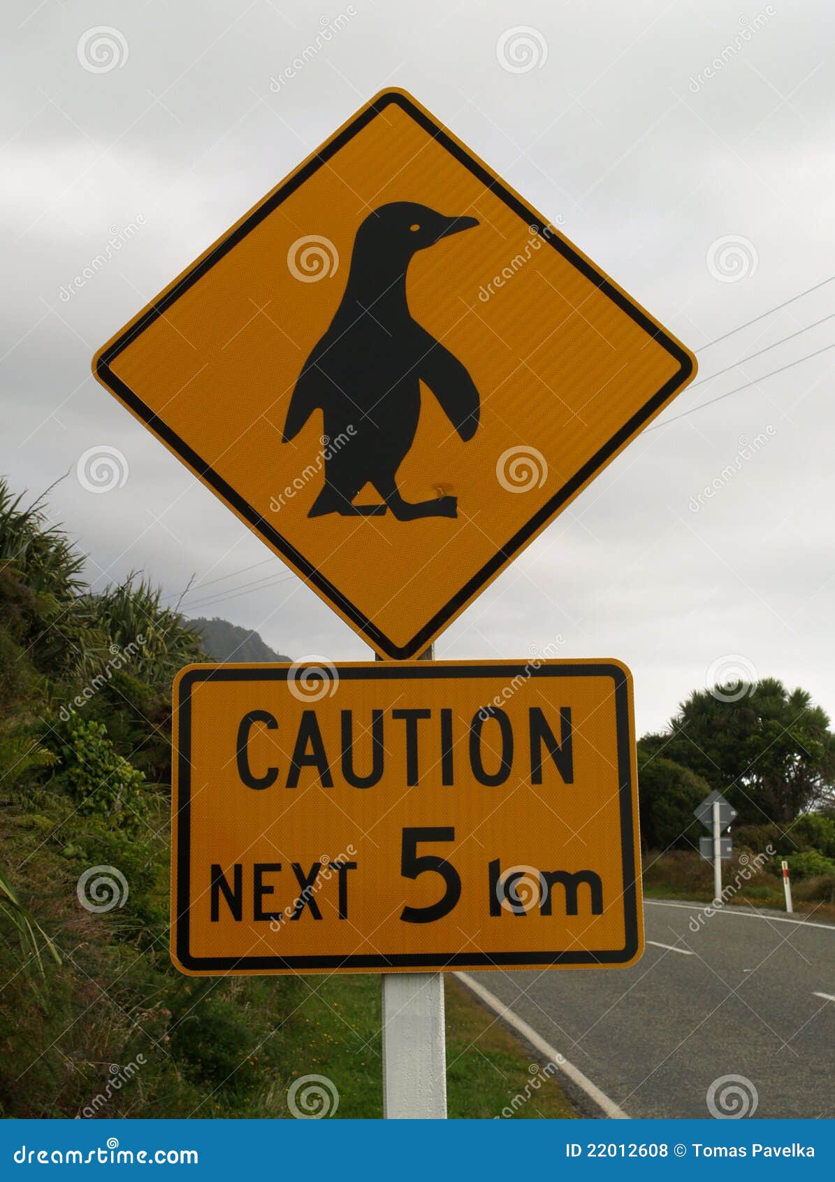 Penguin sign stock photo. Image of white, caution, pole - 22012608