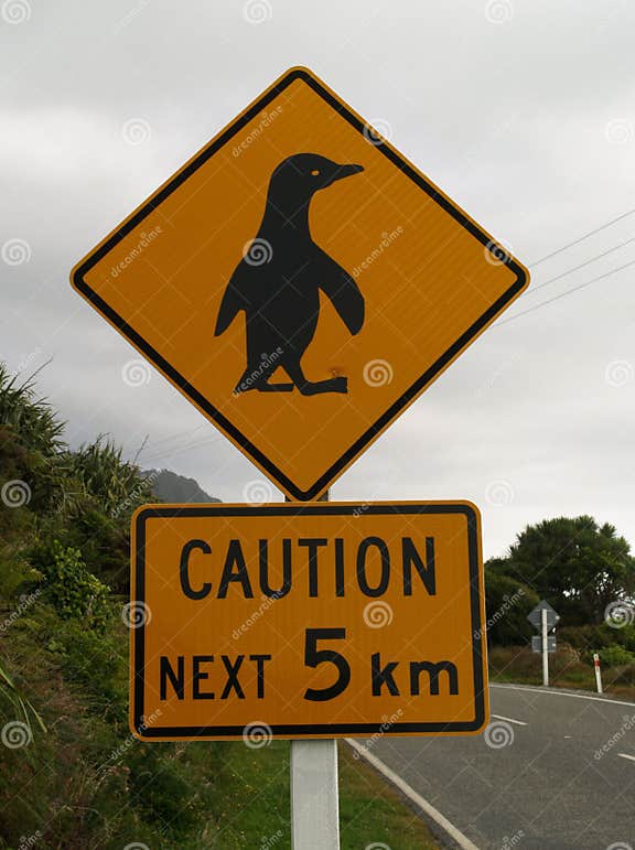 Penguin sign stock photo. Image of white, caution, pole - 22012608