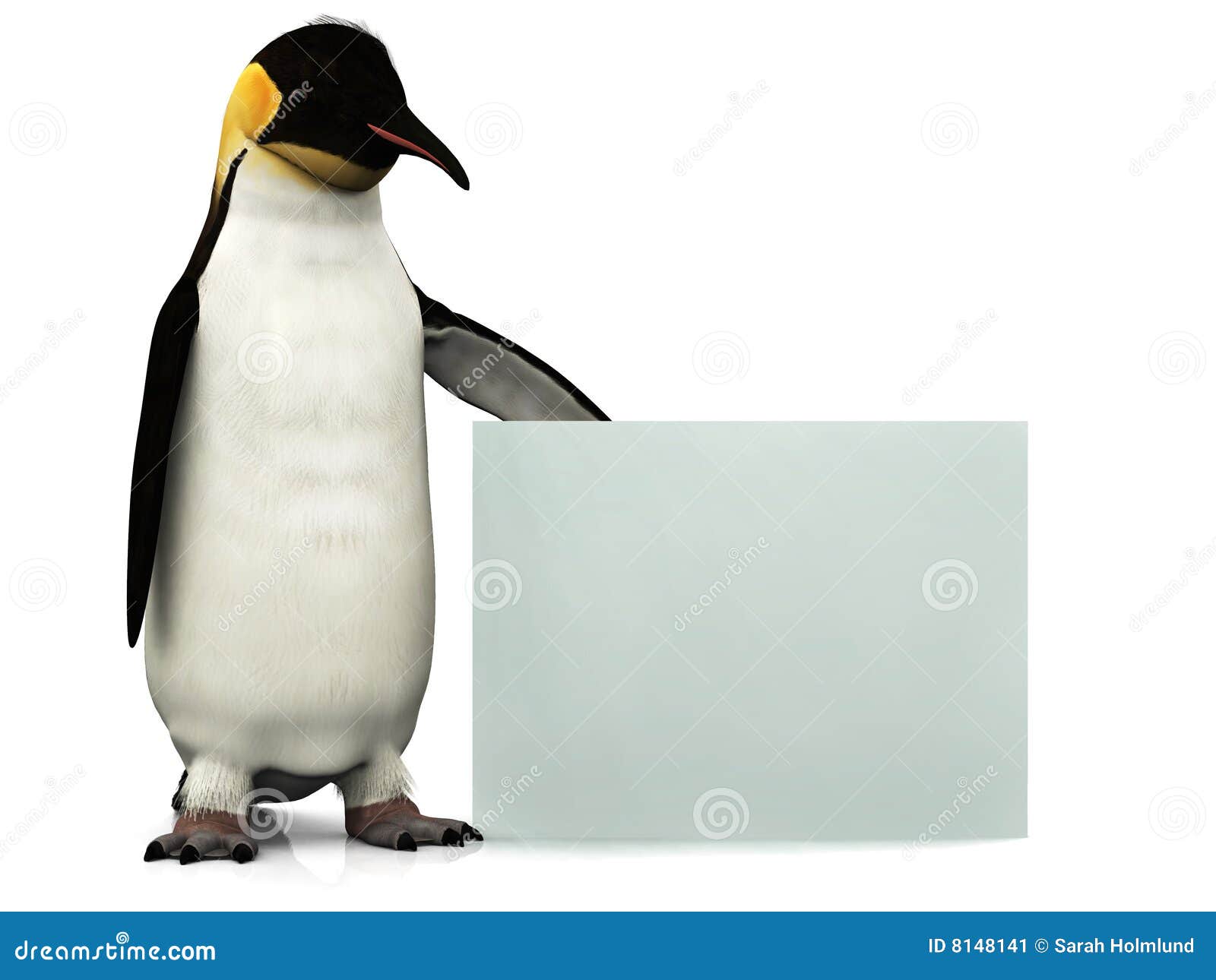 Penguin with sign stock illustration. Illustration of penguin - 8148141