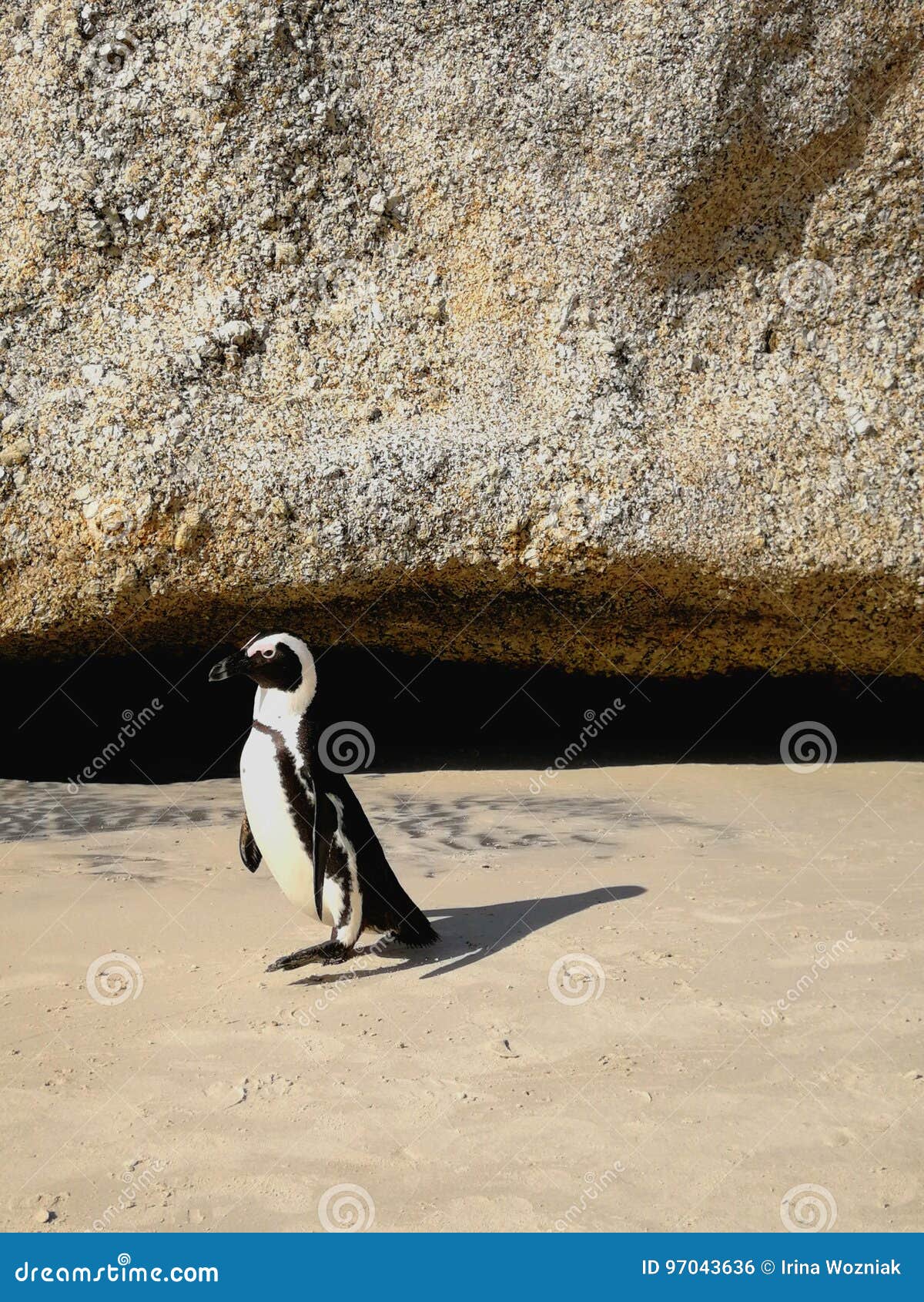 Resounded Stock Photos - Free & Royalty-Free Stock Photos from Dreamstime