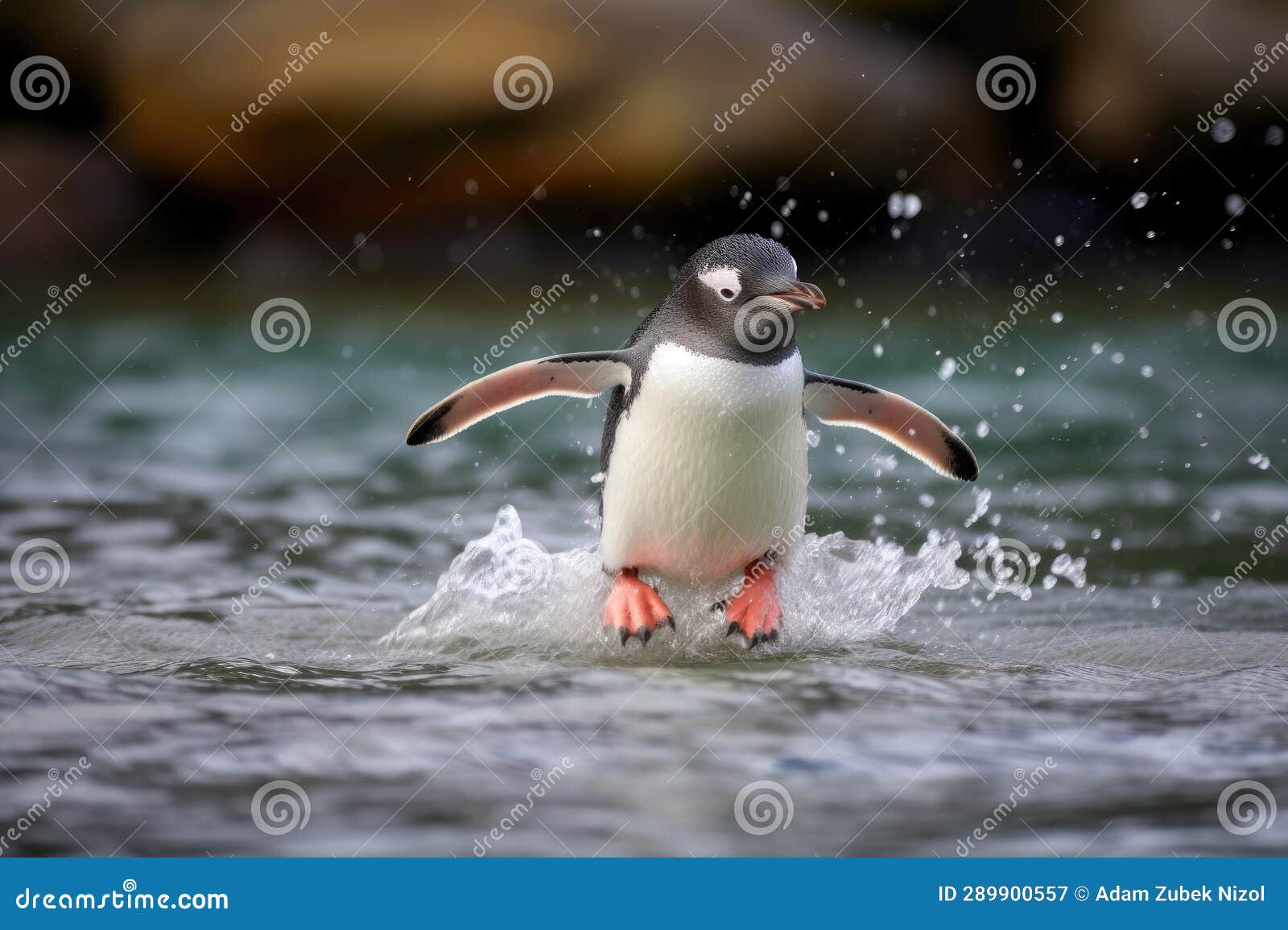 A penguin splashing water stock illustration. Illustration of standing ...