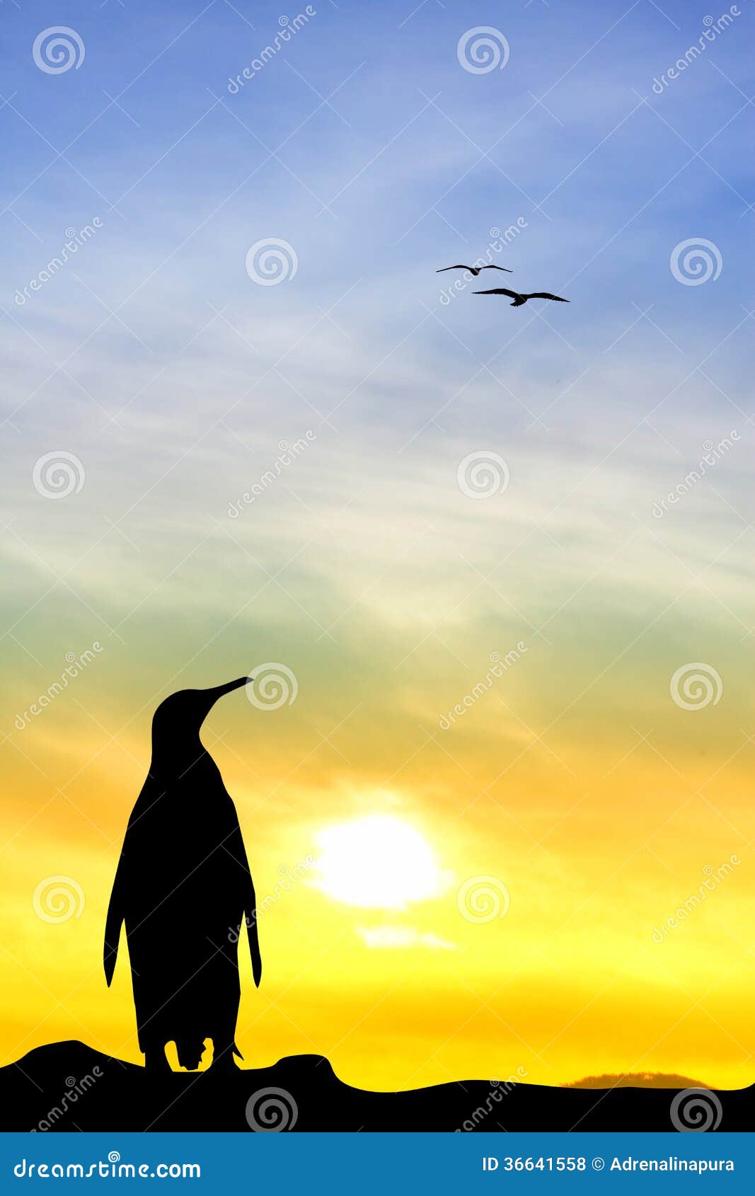 Penguin at sunset stock illustration. Illustration of cute - 36641558