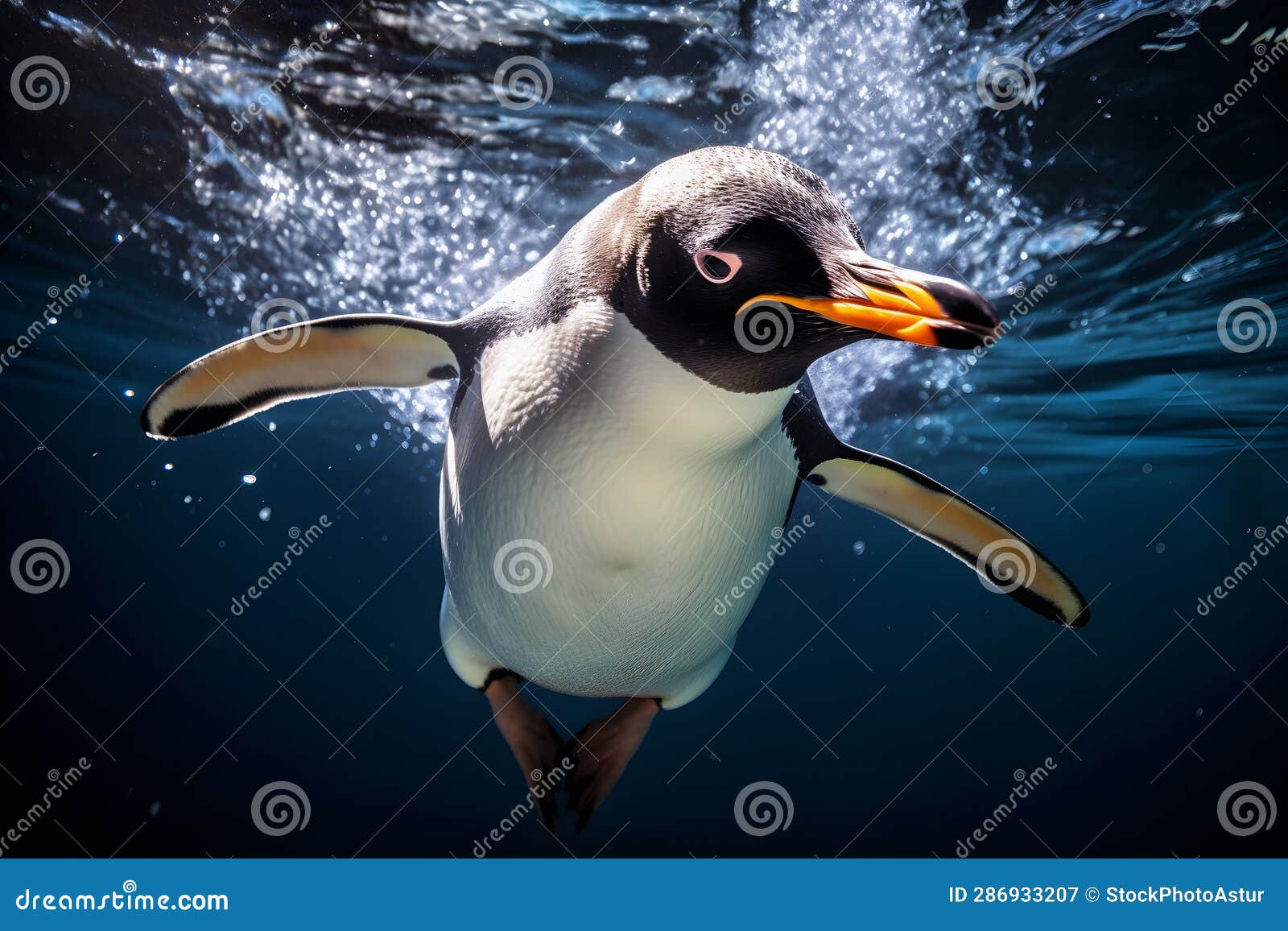 Penguin Swimming In The Blue Ocean. Penguin Swimming Underwater, A ...