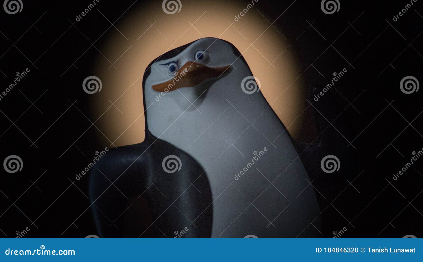 Penguin toy at night stock photo. Image of penguin, moon - 184846320