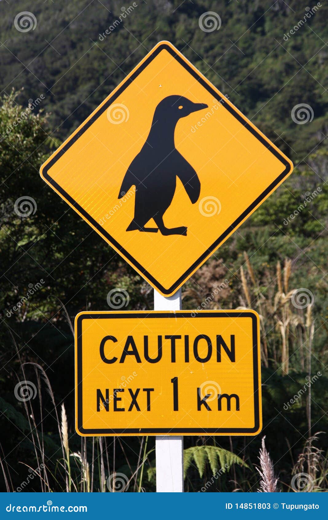 Penguin warning stock image. Image of tourism, penguin - 14851803