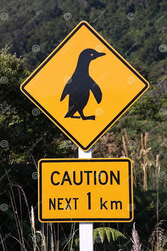 Penguin warning stock image. Image of tourism, penguin - 14851803